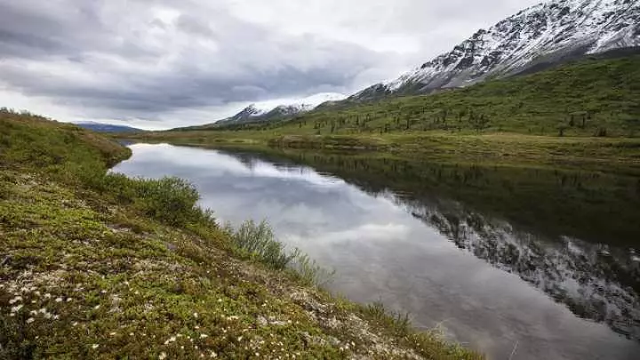 Permafrost-Eating Bacteria: Usa ka Bag-ong Twist Sa Pagtunaw sa Arctic Ug Global Warming