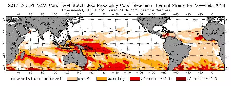 Enkyetid ap ogmante pandan NOAA prevwa plis blanchi gwo baryè resif la sezon sa a