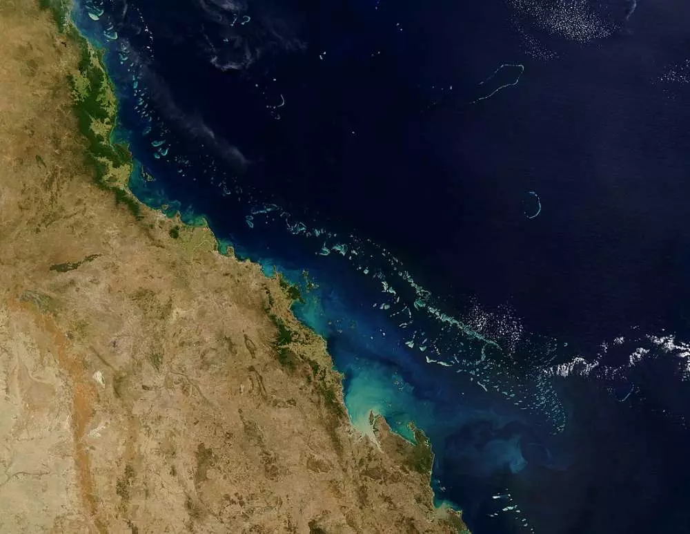 Is het Great Barrier Reef echt dood? 3227_1