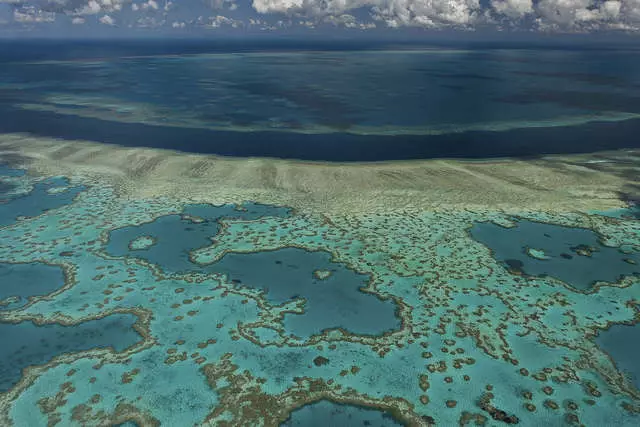 Is het Great Barrier Reef echt dood? 3227_3