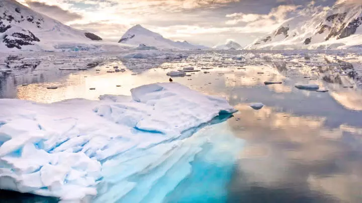 Arktis er under forandring. Her er, hvordan det vil påvirke dig