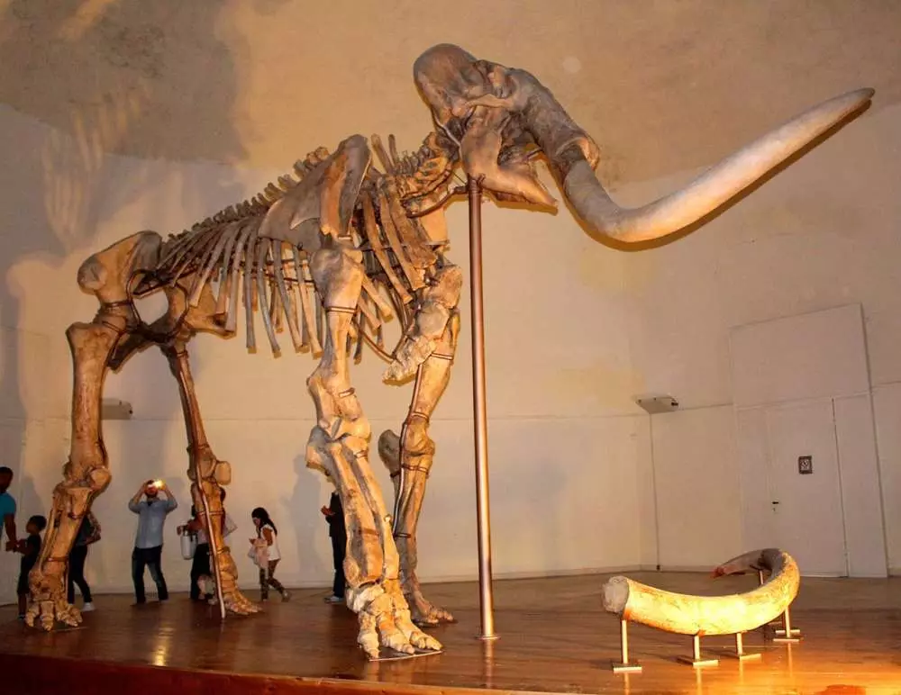 Ang mga Siyentipiko ng CRISPR ay Ibinabalik ang mga Woolly Mammoth Mula sa Patay