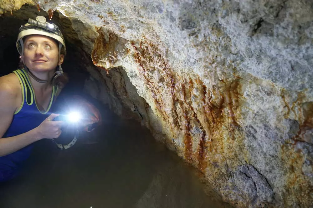 Rencontrez le volcanologue en cours d'exécution pour le Congrès