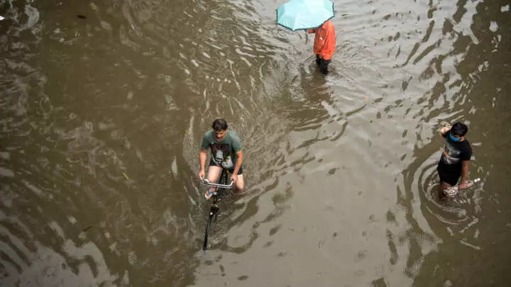 مطالعہ سے پتہ چلتا ہے کہ دور دراز کے گہرے سمندر کے جانور بھی مائیکرو پلاسٹک کھا رہے ہیں۔