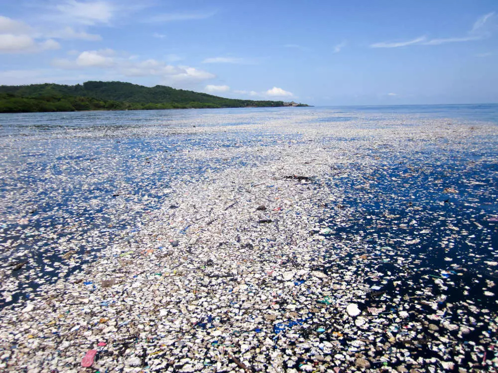 Foto ndị na-awụ akpata oyi n'ahụ na-egosi oke mmetọ rọba na Caribbean 3543_2