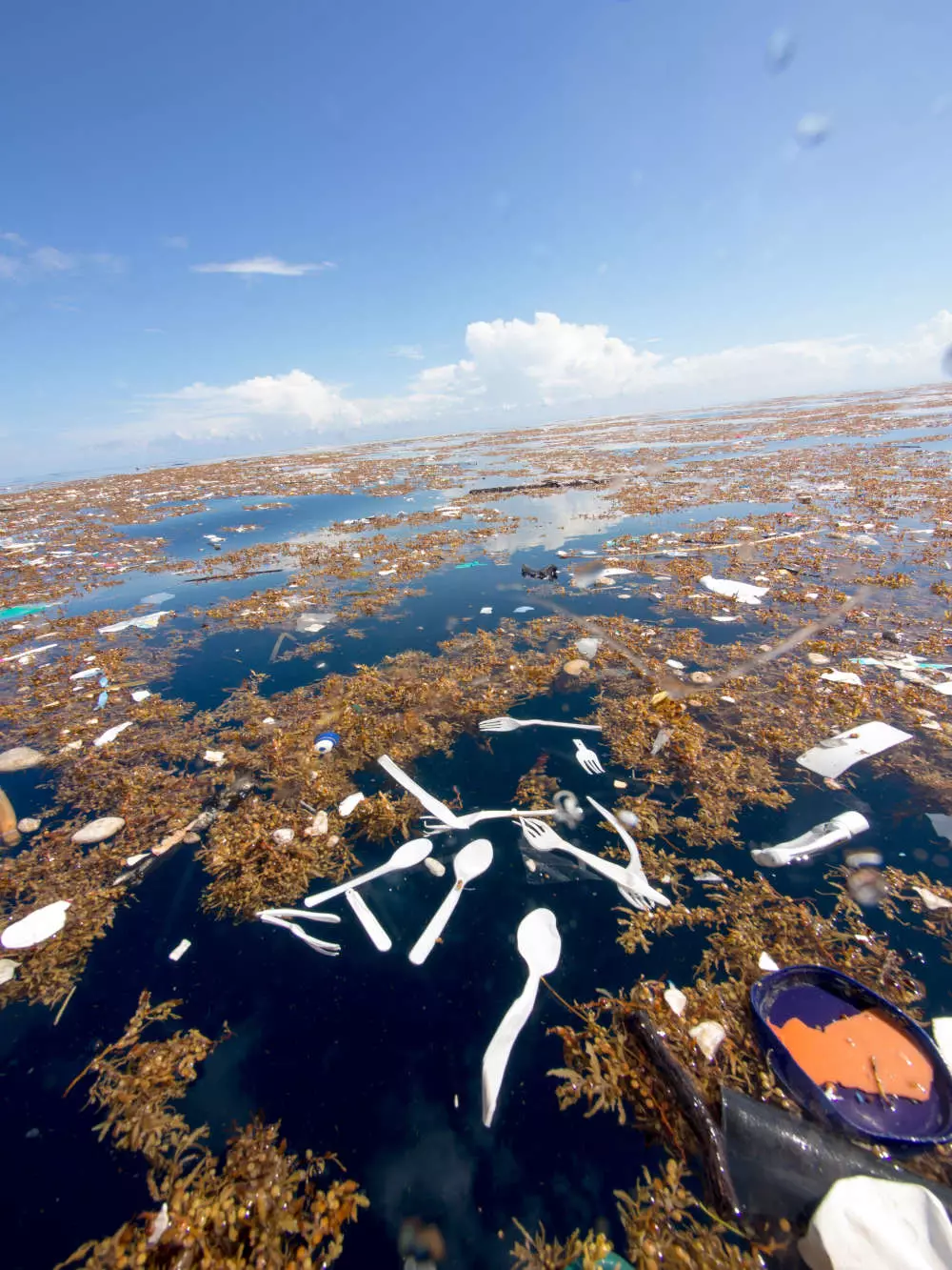 Impactantes fotografías muestran un mar de contaminación plástica en el Caribe 3543_3