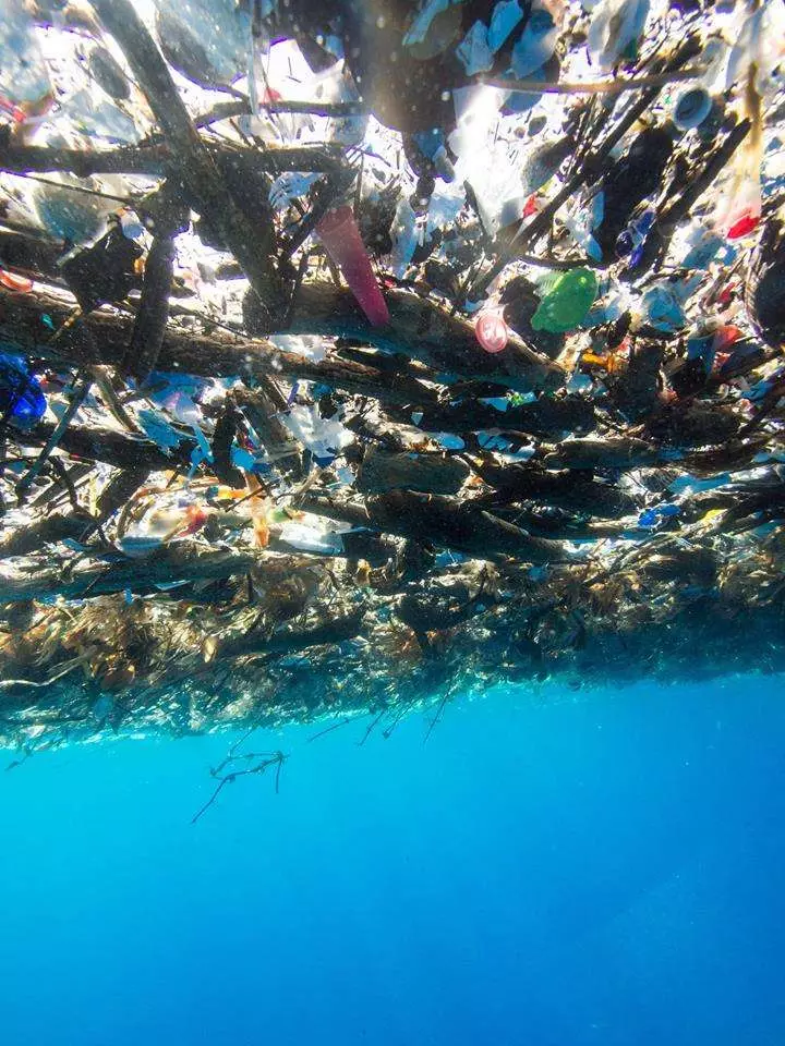 Impactantes fotografías muestran un mar de contaminación plástica en el Caribe 3543_4