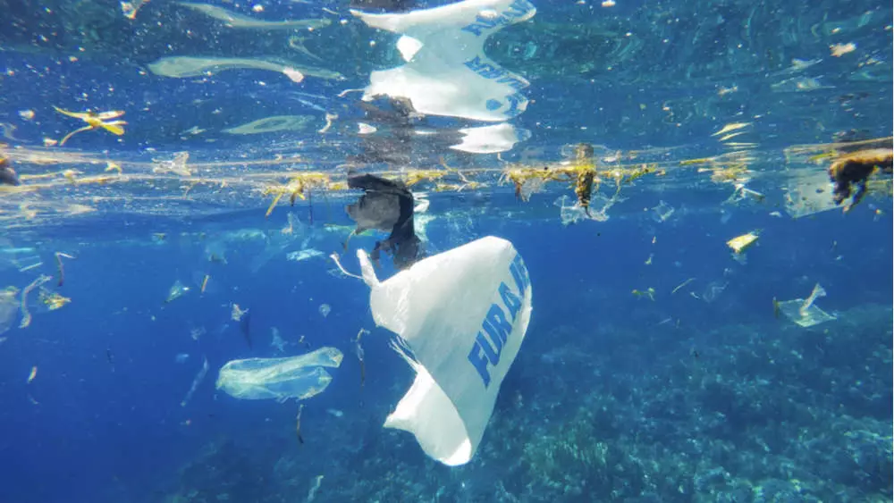 Elke enkele stuk plastiekverpakking in die EU moet teen 2030 herbruikbaar of herwinbaar wees 3545_1