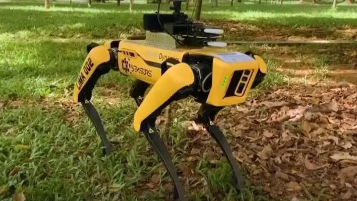 Robotický pes pomáha presadzovať sociálne dištancovanie v Singapure