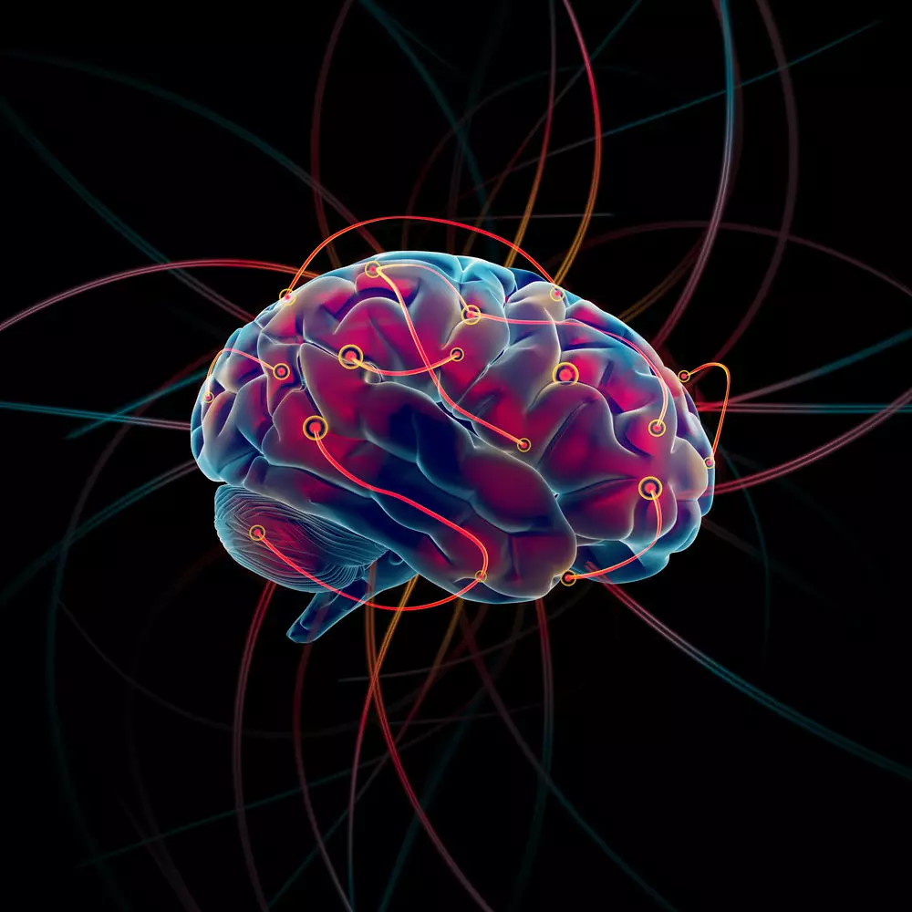 دانشمندان ممکن است پایه عصبی هوش انسانی را کشف کرده باشند 3591_1