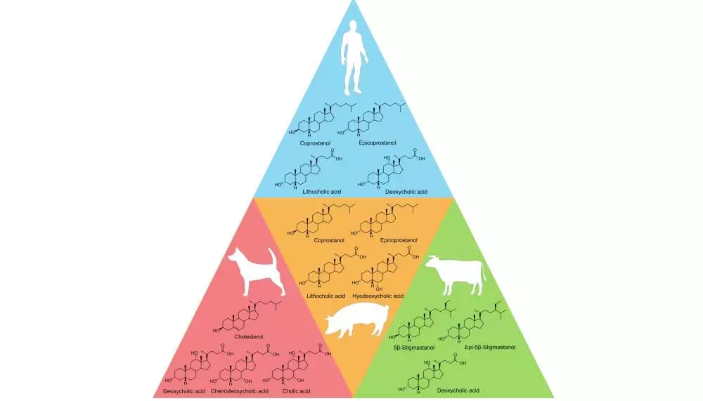 La caca humana prehistòrica ajuda a mostrar quan la gent va arribar per primera vegada a Amèrica del Nord 3867_1