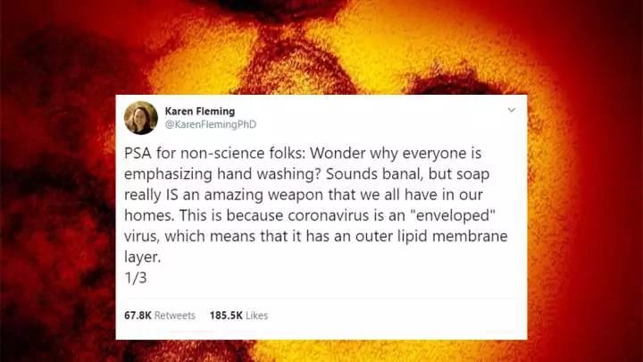 वैज्ञानिक तीन छोटे ट्वीट्स में बताते हैं कि हर कोई आपको अपने हाथों को धोने के लिए क्यों कह रहा है