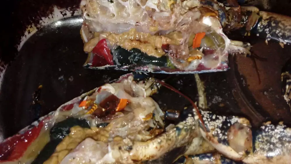 Schokkende foto's laten zien dat rubberen buizen in de maag van de kreeft zitten die de chef-kok aan het voorbereiden was 4154_2
