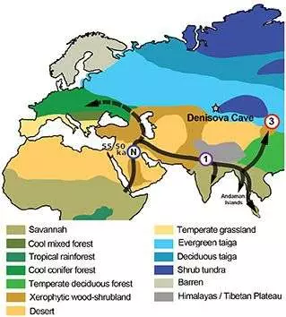 Onze voorouders zijn gekruist met ten minste vier archaïsche menselijke populaties 4214_1