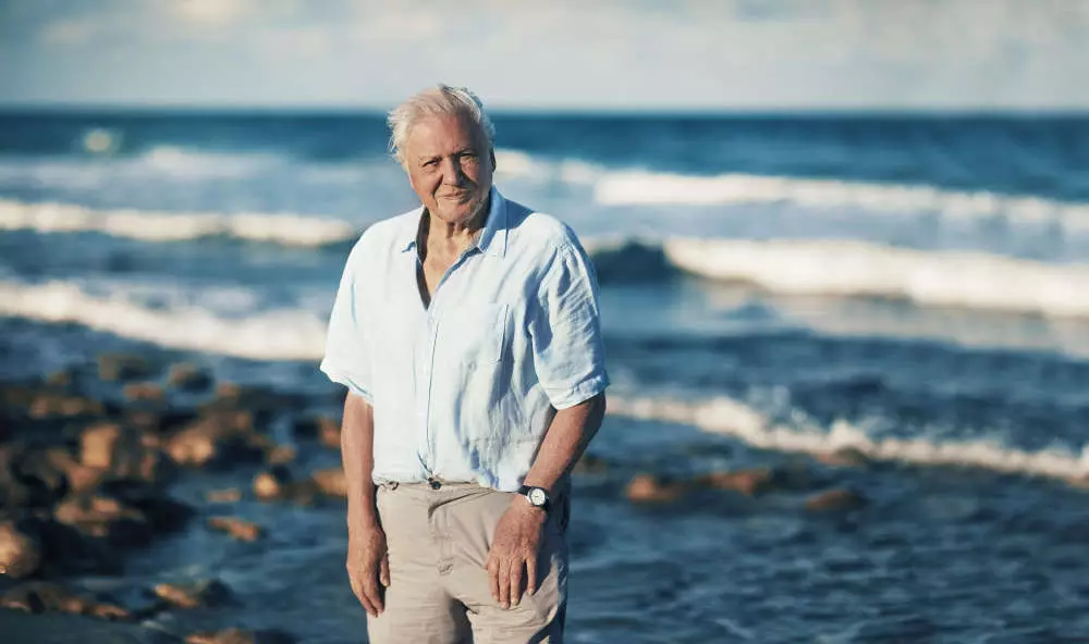 IFLScience Bi David Attenborough re Di derbarê Okyanûsan, Yekemîn Guleya Wî, û Tiştê ku Nêzîkî Wî Kiriye Dipeyive 4282_1