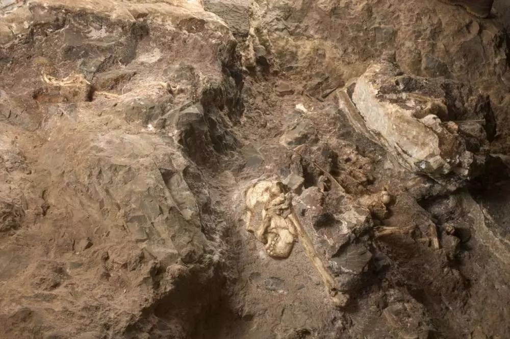 Един от най-пълните ранни скелети на хоминини, открити някога, разкрит в Южна Африка 4403_1