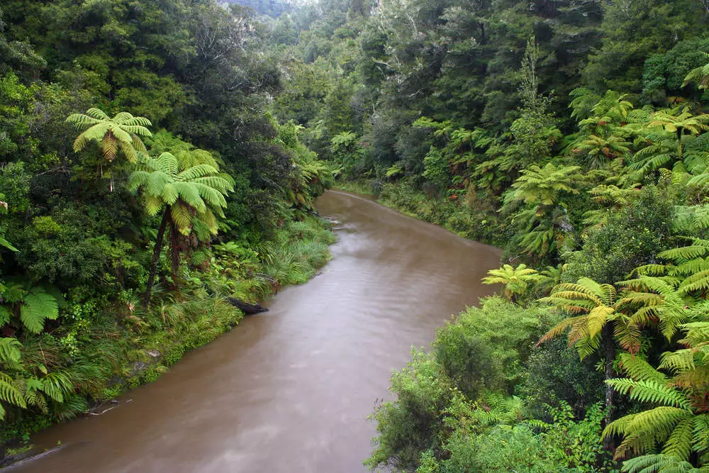 River New Zealand má rovnaké zákonné práva ako ľudia 4519_2