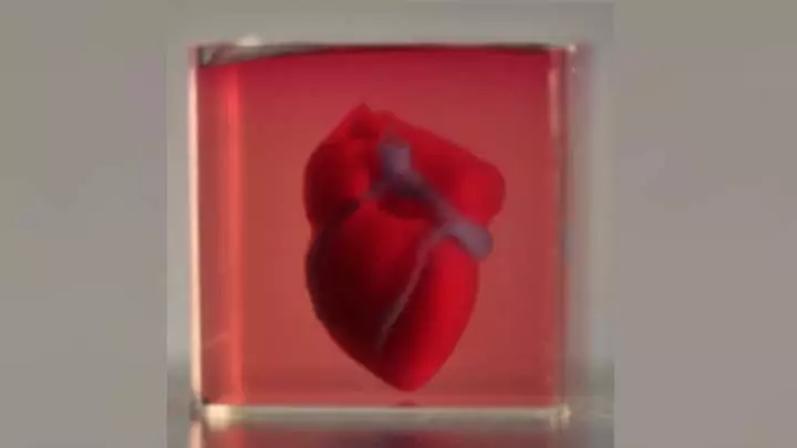 Científicos crean o primeiro corazón impreso en 3D do mundo usando células do propio paciente