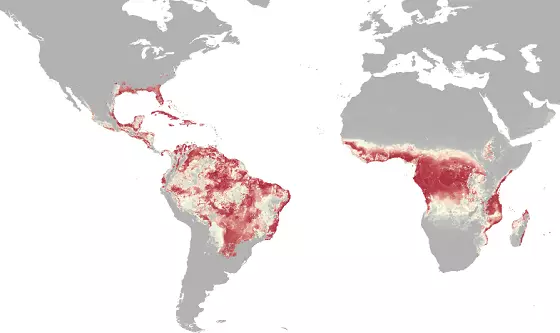 La mappa del virus Zika rivela che 2,2 miliardi di persone sono a rischio 4755_1