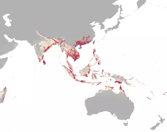 La mappa del virus Zika rivela che 2,2 miliardi di persone sono a rischio 4755_2