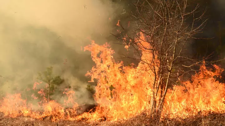 L'île écossaise de l'Anthrax en feu avec des incendies de forêt "apocalyptiques"