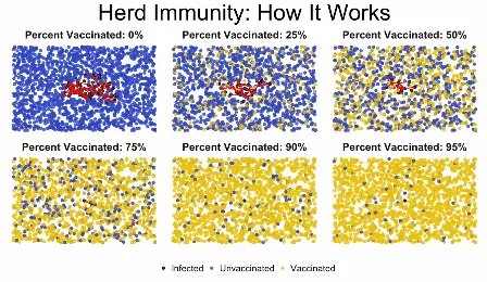 Covid-19 설문 조사는 우리가 백신을 접종하면 다음에 일어날 일에 대한 우려스러운 의미를 함축합니다 4958_1