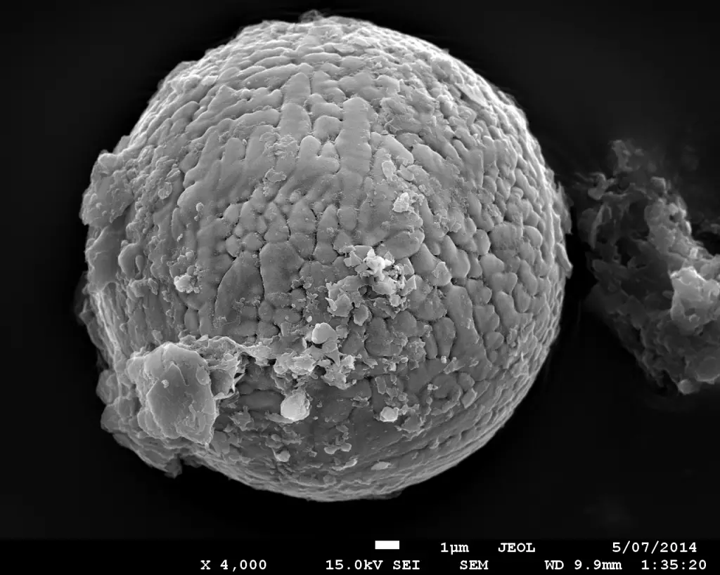 Iwwerraschend Sauerstoffräich Schicht fonnt an der aler Atmosphär vun der Äerd virun 2,7 Milliarde Joer 4978_1