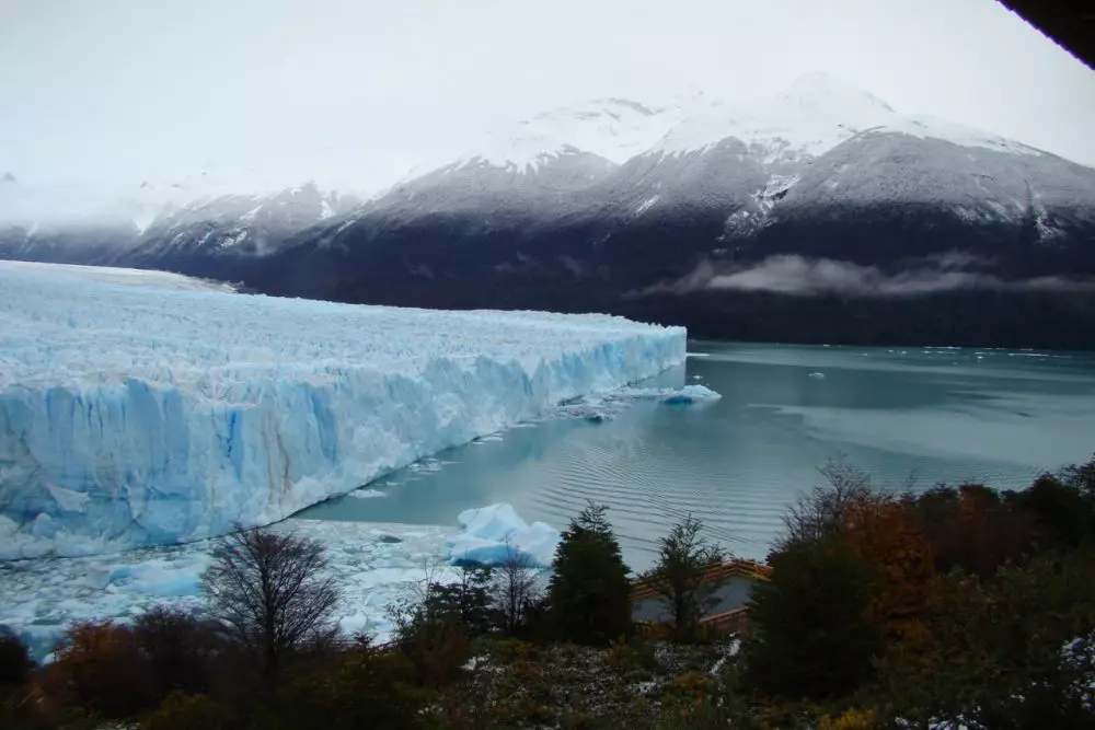 Patagonija išnaikina ir dėl medžioklės, ir dėl klimato kaitos 5562_2