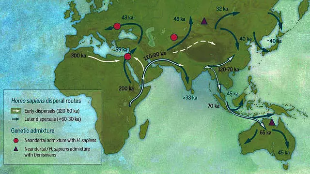 Nohamafisina fa nanambady ny Denisovans efa lany tamingana ankehitriny ny olombelona - imbetsaka 5736_2