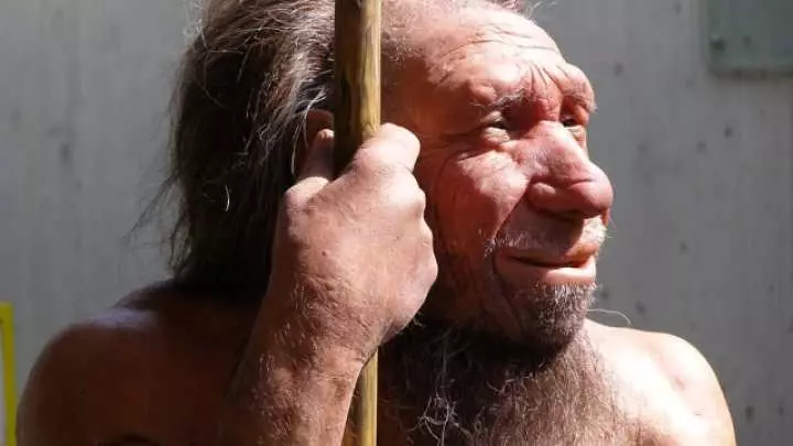 Neandertalers meie net sa ynferior west hawwe as suggerearre