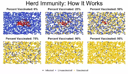 Une simulation terrifiante vous montre ce qui se passe dans votre ville si les taux de vaccination chutent en dessous de 95 % 6383_1