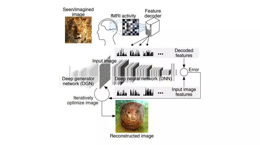 Artificial Intelligence e Nchafatsa Litšoantšo tse Tsoang ka Hare ho Boko ba Motho 6563_2