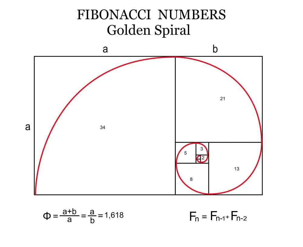 Splinternuwe Fibonacci-reeks wat per ongeluk ontdek is in 'n poging om sonlig te oes 671_2