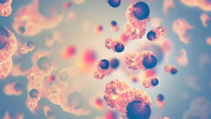 'מולקולות התאבדות' עתיקות יכולות להרוג כל סוג של תא סרטן