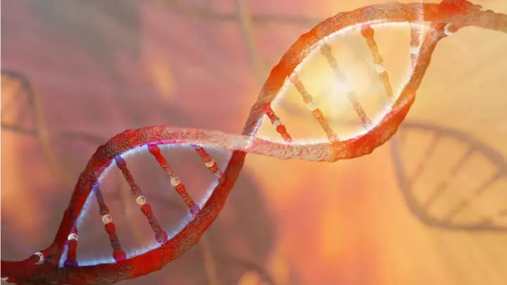 Badania sugerujące, że CRISPR jest niebezpieczny, zostały wycofane po tym, jak autorzy obalili własne wyniki