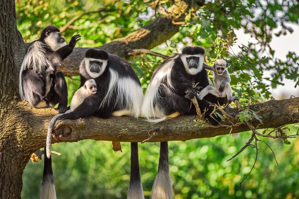 មាតិកា-1469107059-shutterstock-35143741