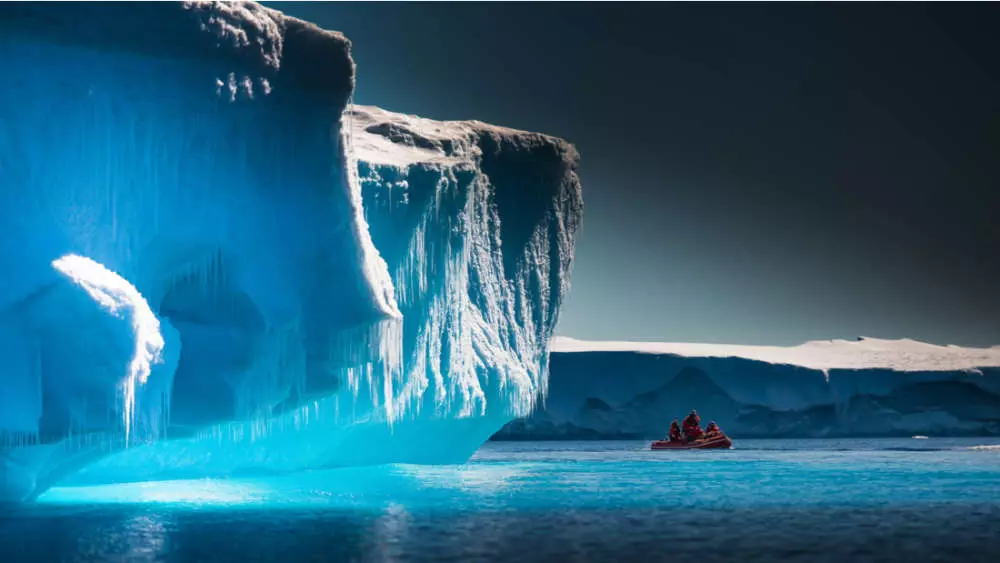 Miljeukundigen planje it grutste wildreservaat fan 'e wrâld yn Antarktika te meitsjen 6935_2