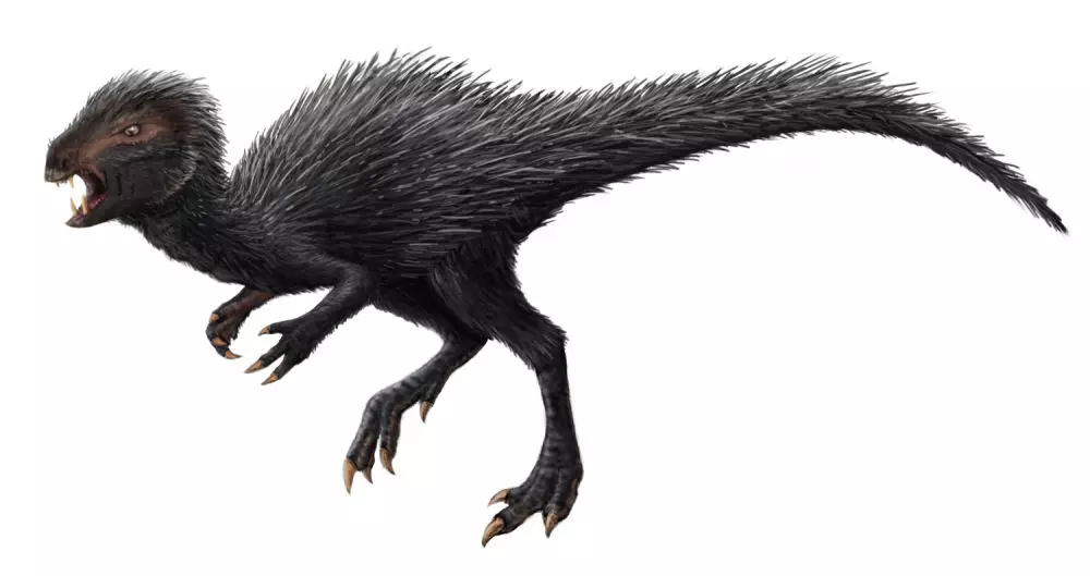 mazmuny-1469633614-heterodontosaurus-res