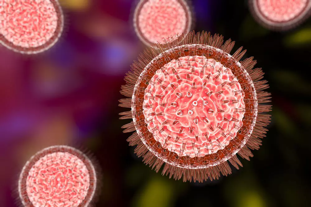 Денге вирусы Зиканың иң көчле коралы - һәм кайвакыт аның иң көчсезлеге 7096_2