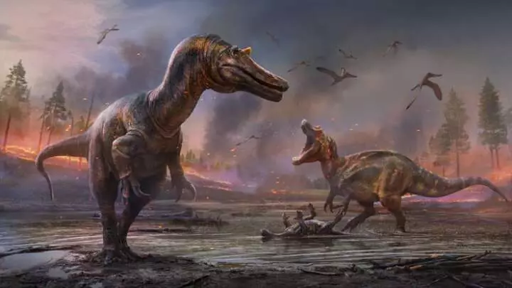 "Sehlopha sa Lihele se Sefahleho sa Koena" Dinosaure Har'a Li-spinosaurid tse Ncha tse peli tse Fumanehileng