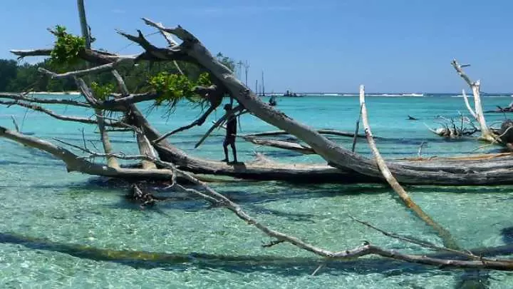 A elevação do nível do mar reivindicou cinco ilhas inteiras no Pacífico: primeira evidência científica