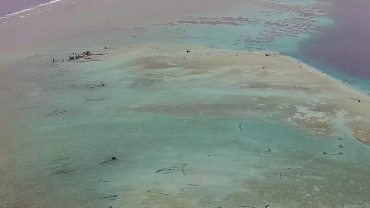 Mundhak Segara Nduweni Lima Pulo Ing Pasifik: Bukti Ilmiah Pertama 7866_1