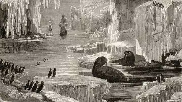 Dengizchining eskizi Franklinning halokatli Arktika ekspeditsiyasining parhez tafsilotlarini ochib beradi.