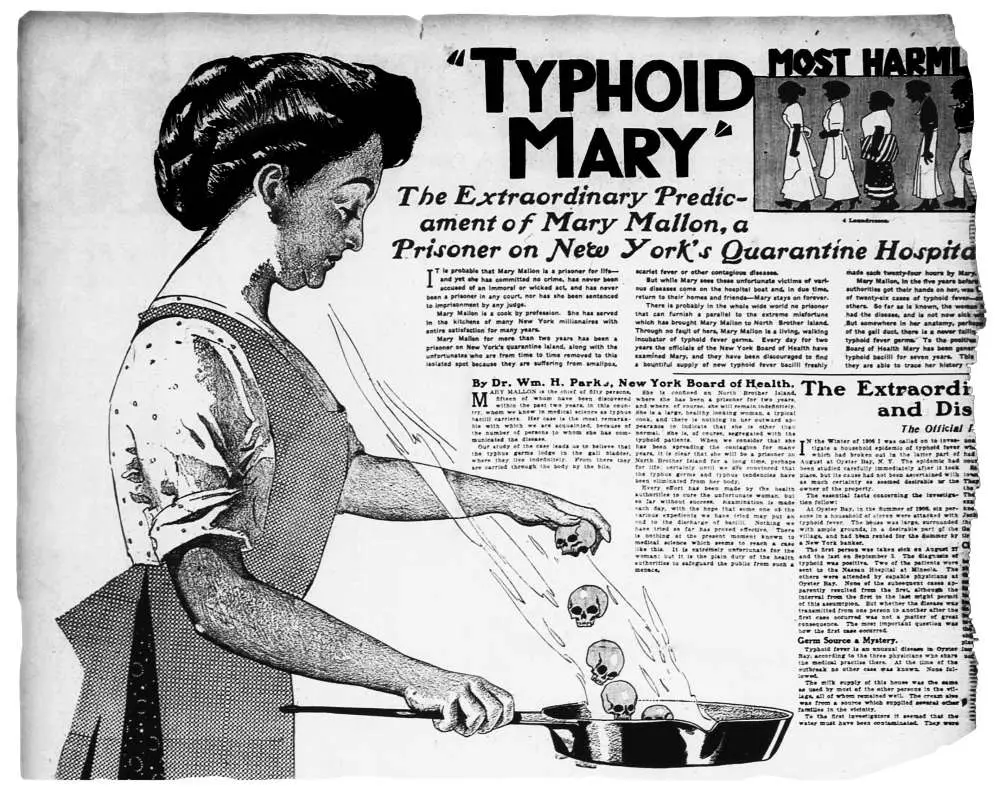 Typhoid Mary, Creative Commons