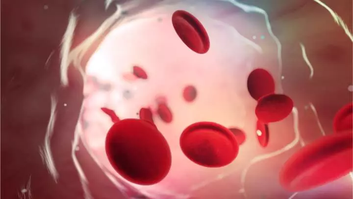 Одна група крові, зокрема, має захисний ефект проти важкої форми малярії