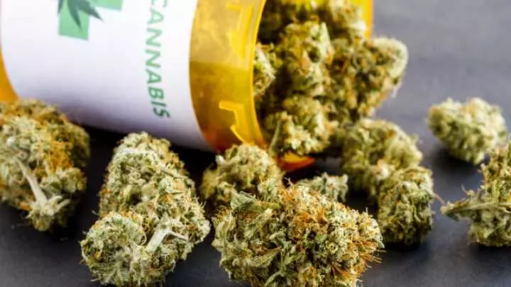 Germany Aron Legalize ang Medikal nga Marijuana sa Sunod Tuig