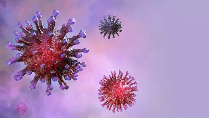 Voorlopige studie dui daarop dat daar twee stamme van die nuwe koronavirus kan wees