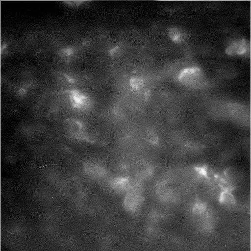 Гэта самыя блізкія віды Сатурна, якія мы калі-небудзь бачылі 8083_1