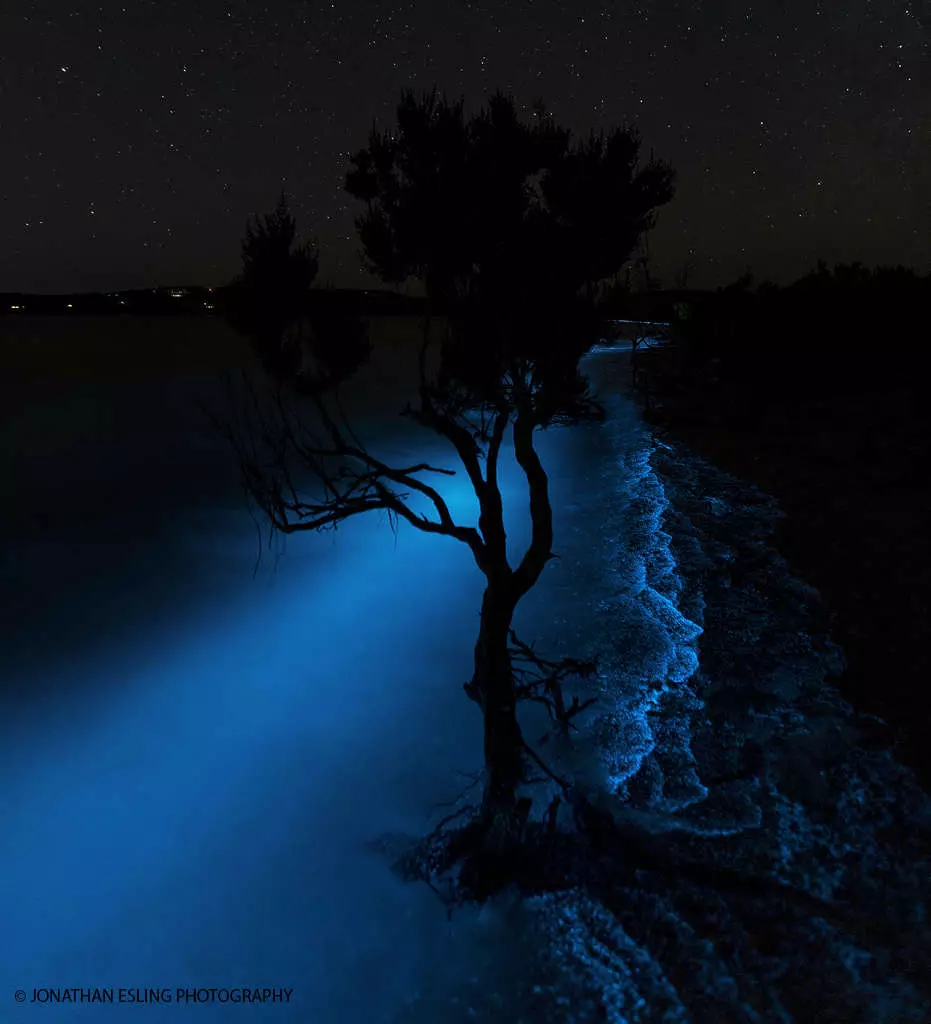 Una fotografia espectacular captura el plàncton bioluminiscent i l'aurora al mateix temps 8169_1