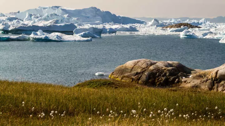 Ice Sheet ya Greenland Yadutsa 'Point Of No Return'